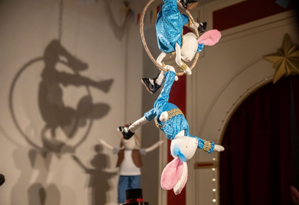 Display windows - Circus